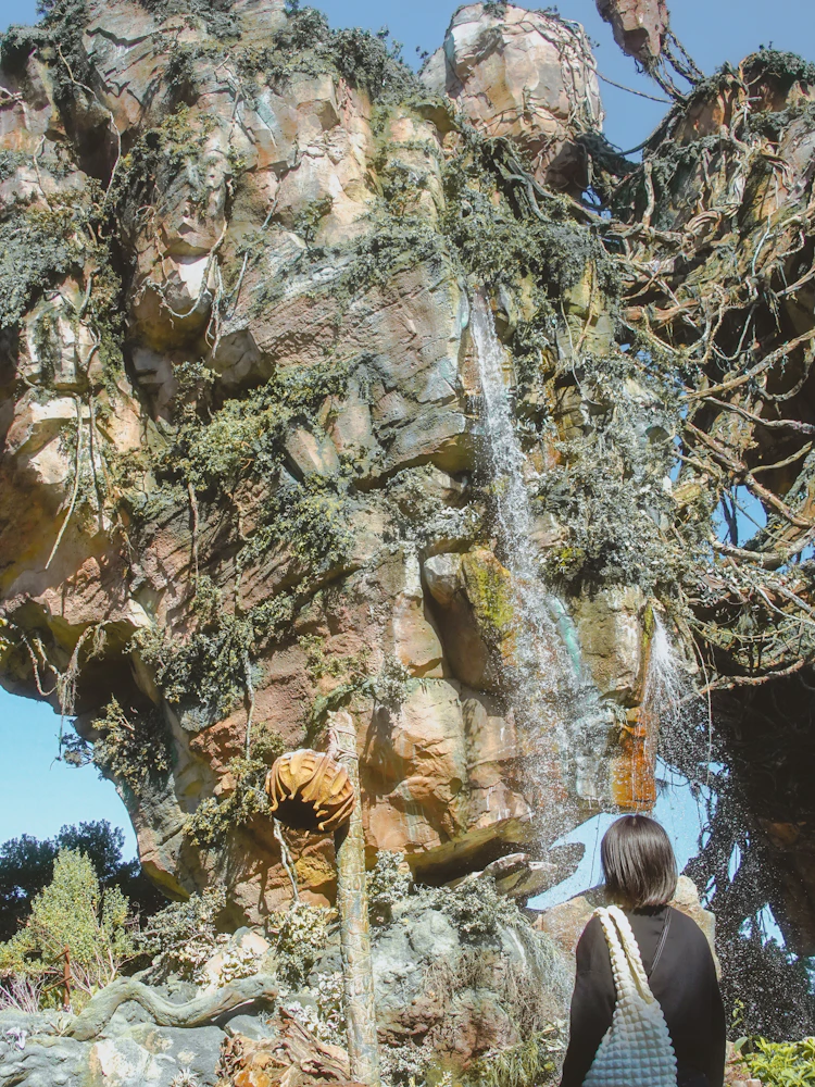 初めてでも安心！ フロリダ ウォルト・ディズニー・ワールド・リゾートの基本情報&直営ホテルをご紹介｜tabimuse